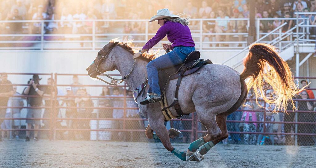 Columbia County Fair – Columbia County Fair in Chatham NY