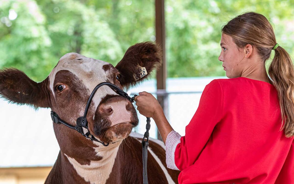 Competitions – Columbia County Fair