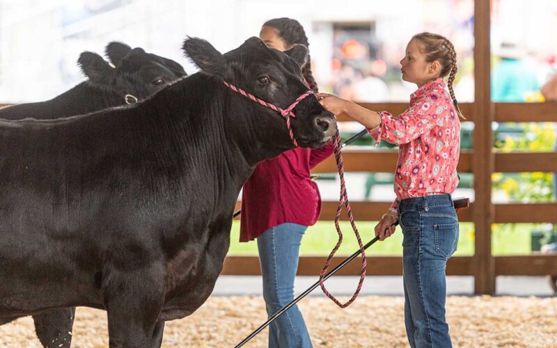 Competitions – Columbia County Fair