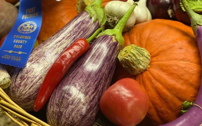 Competitions – Columbia County Fair