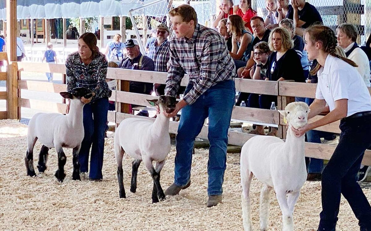 Competitions – Columbia County Fair