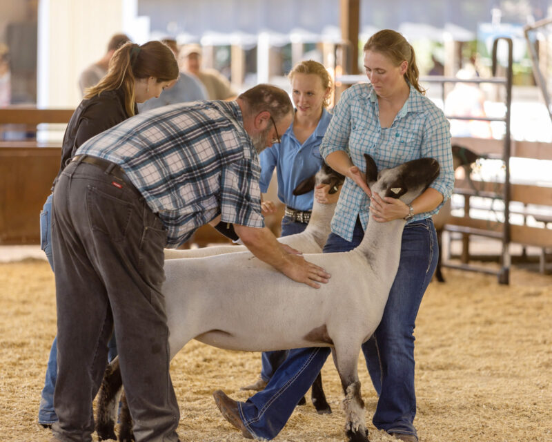 Competitions – Columbia County Fair