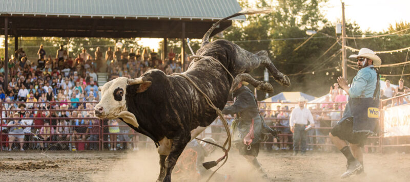 Columbia County Fair – Columbia County Fair in Chatham NY